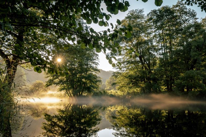 Nationalpark Thayatal | Tal der Vielfalt