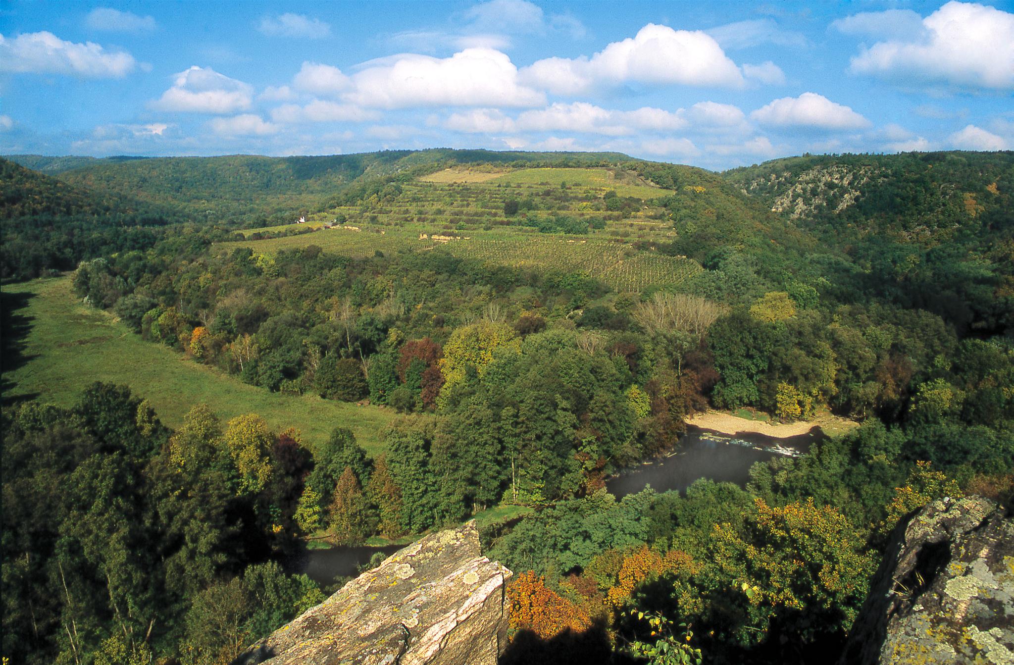 Wander- & Radwege | Nationalpark Thayatal